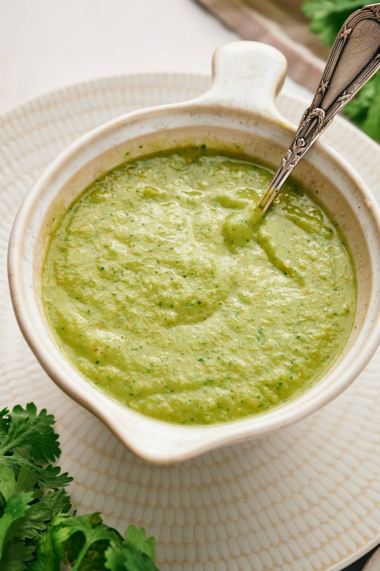 Creamy Avocado Salsa Verde - Slender Kitchen